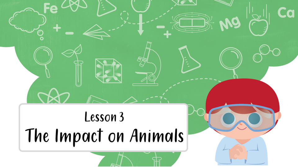 Teacher Resources and Classroom Games :: Teach This