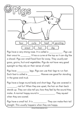 Pig - Label and Cloze :: Teacher Resources and Classroom Games :: Teach ...
