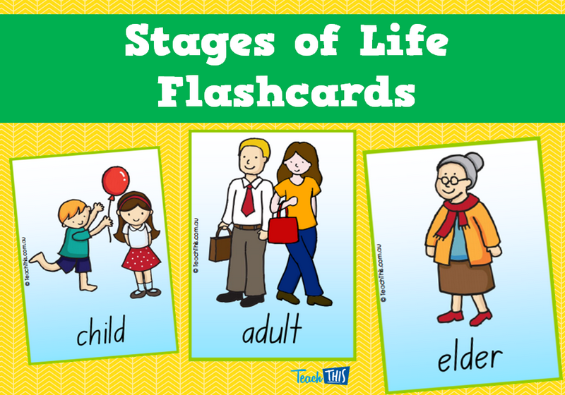 Stages of Life Flashcards :: Teacher Resources and Classroom Games ...