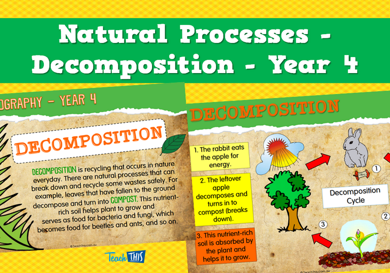 Natural Processes - Decomposition - Year 4 :: Teacher Resources and ...