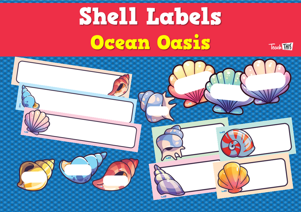 Shell Labels - Ocean Oasis :: Teacher Resources and Classroom Games ...