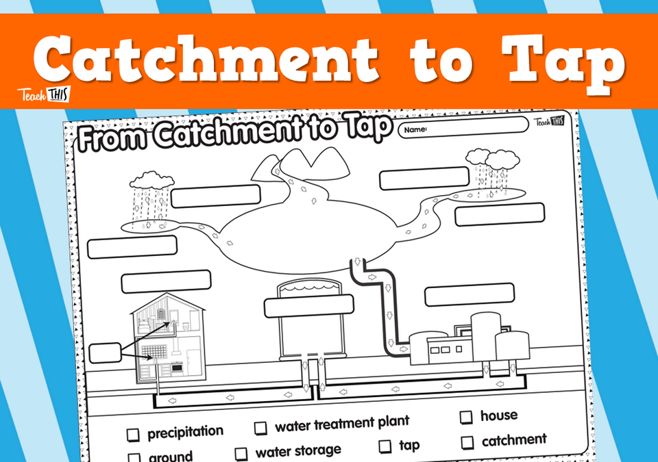 Catchment to Tap :: Teacher Resources and Classroom Games :: Teach This