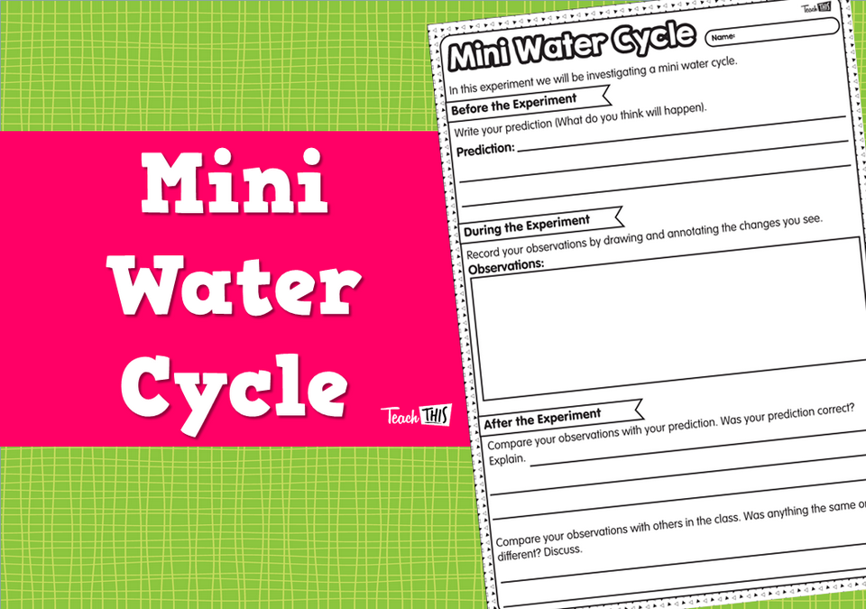 Mini Water Cycle :: Teacher Resources and Classroom Games :: Teach This