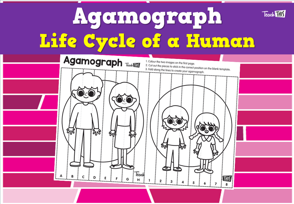 Agamograph- Life Cycle of a Human :: Teacher Resources and Classroom ...
