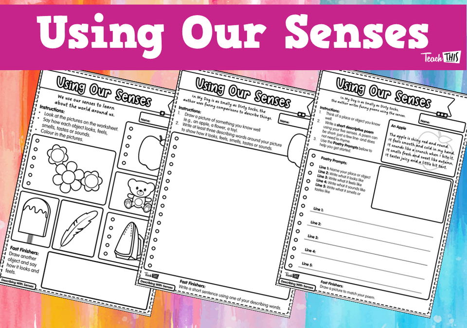 Using Our Senses :: Teacher Resources and Classroom Games :: Teach This