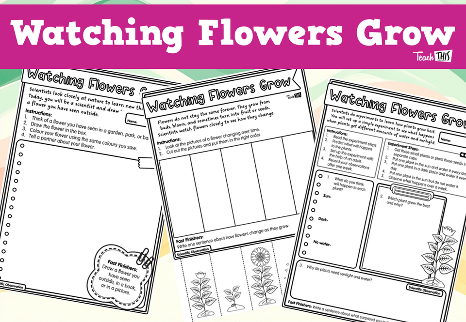 Watching Flowers Grow :: Teacher Resources and Classroom Games :: Teach ...