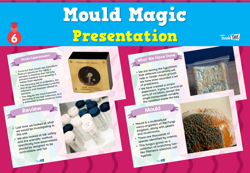 Mould Magic - Presentation :: Teacher Resources and Classroom Games ...