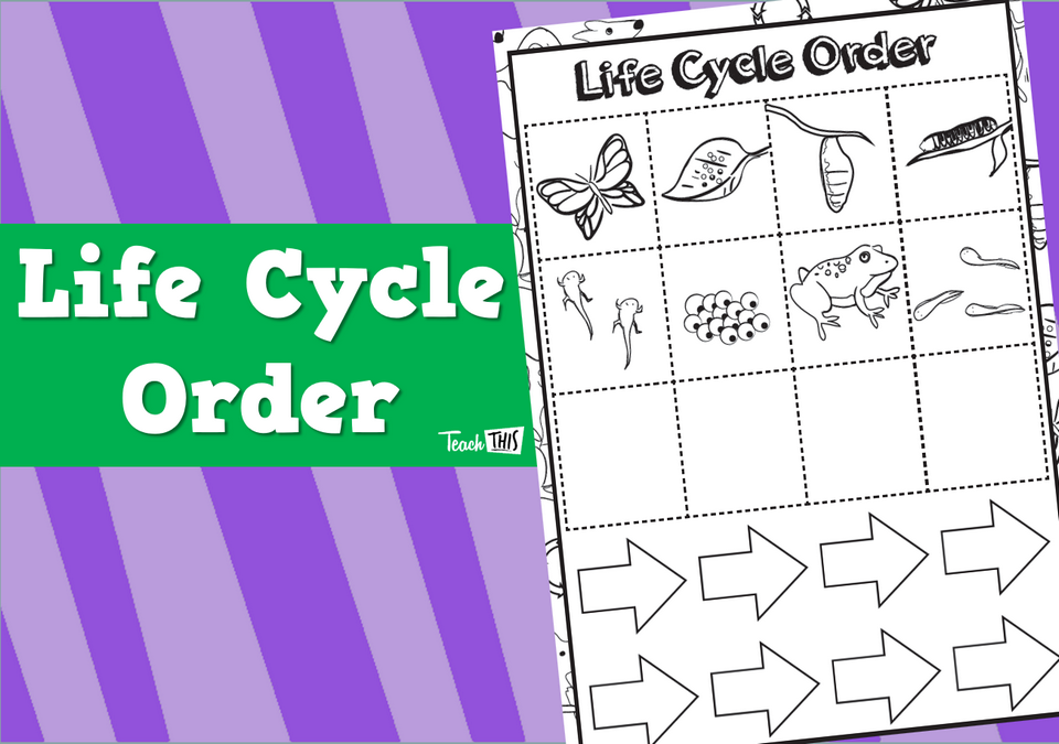Life Cycle Order - Worksheet :: Teacher Resources and Classroom Games ...