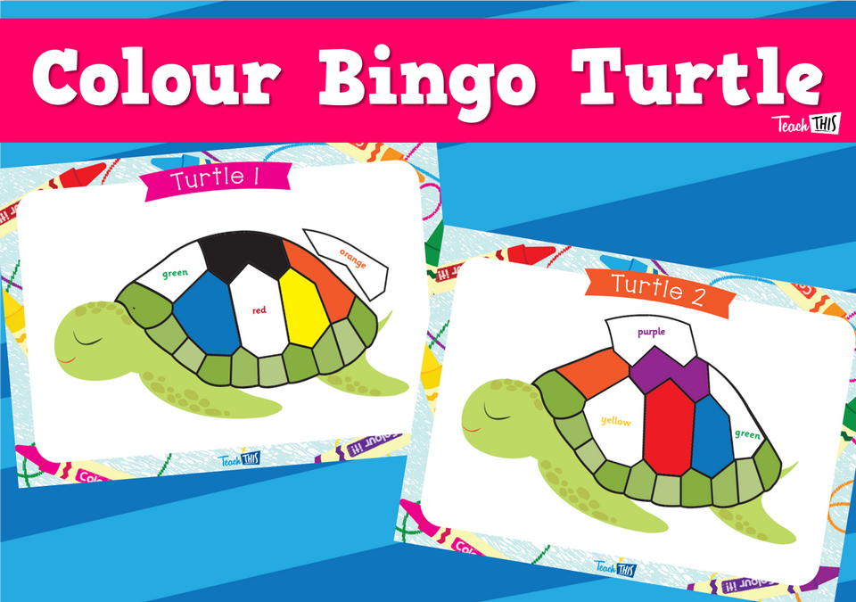 Colour Bingo Turtle :: Teacher Resources and Classroom Games :: Teach This