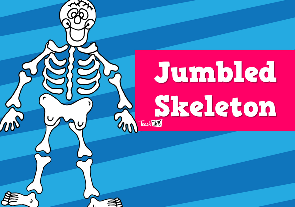 Jumbled Skeleton :: Teacher Resources and Classroom Games :: Teach This