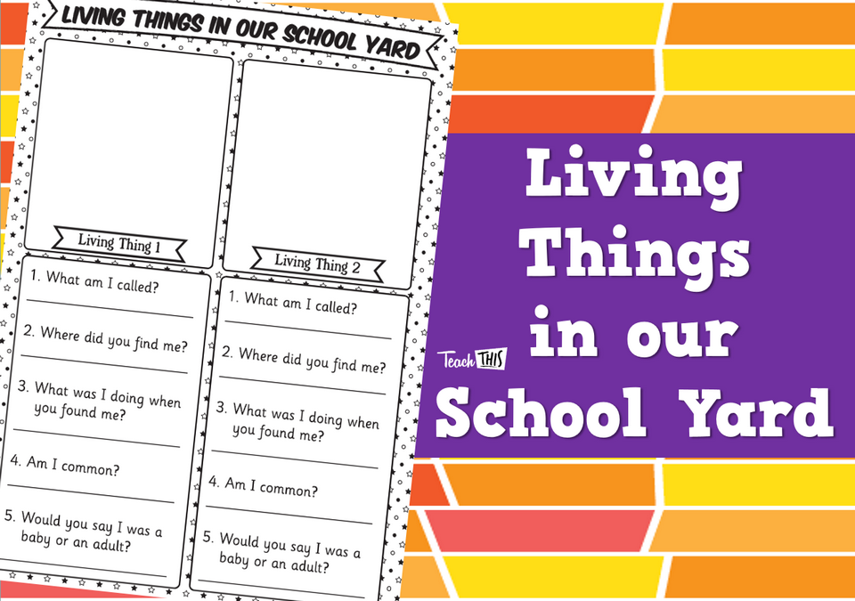 Living Things in our School Yard - Worksheet :: Teacher Resources and ...