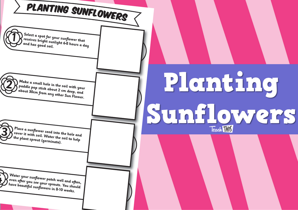 Planting Sunflowers - Worksheet :: Teacher Resources and Classroom ...