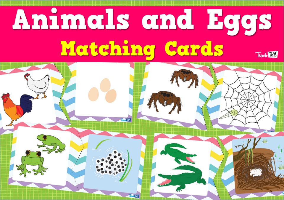 Animals and Eggs - Matching Cards :: Teacher Resources and Classroom ...