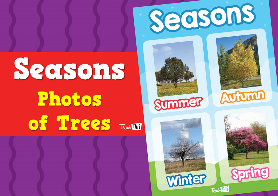 Seasons Photos of Trees :: Teacher Resources and Classroom Games ...