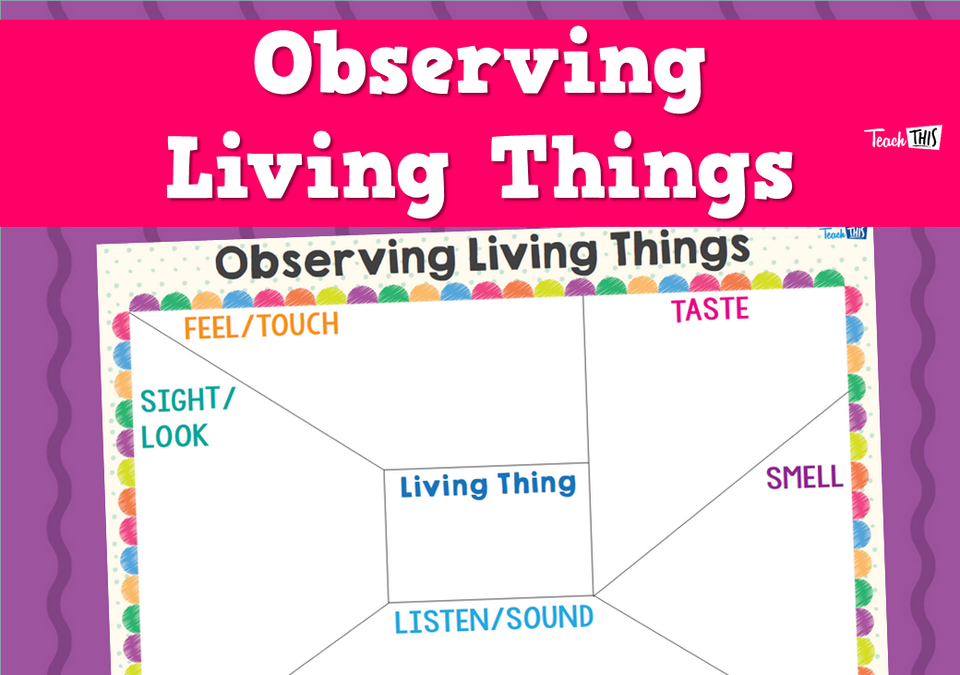 Observing Living Things :: Teacher Resources and Classroom Games ...