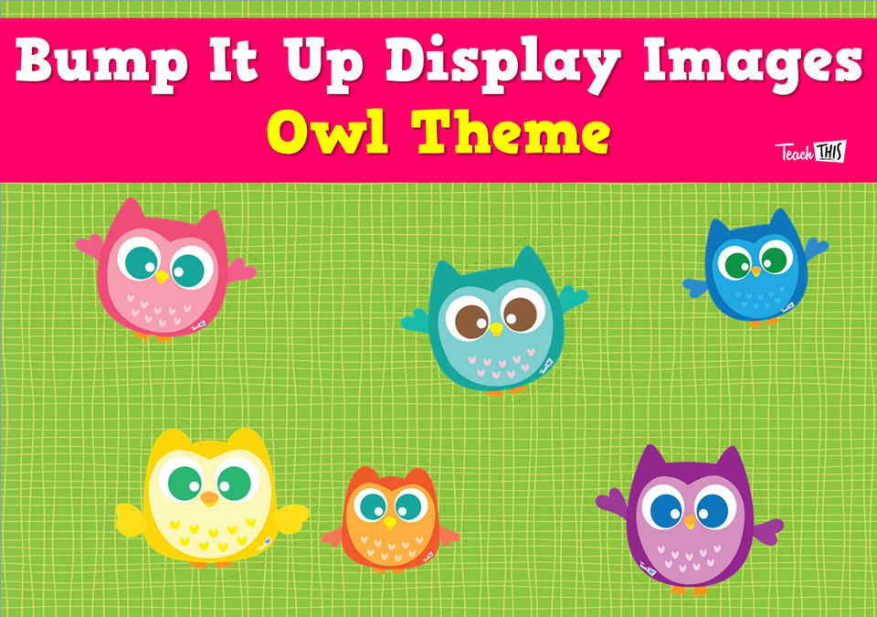 Bump It Up Display Images - Owl Theme :: Teacher Resources and ...