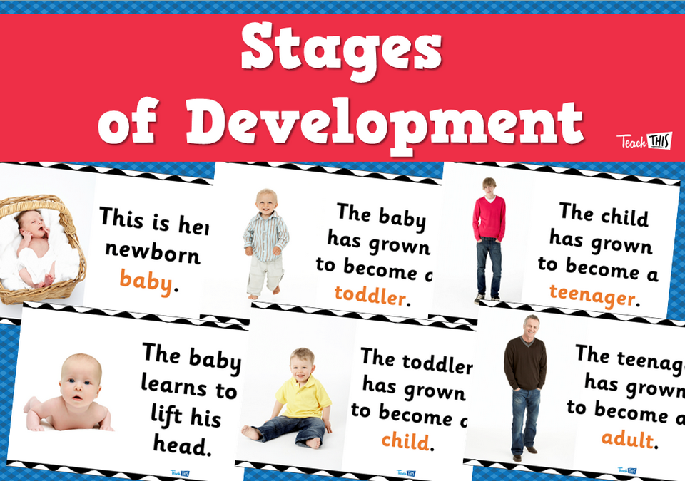 Stages of Development :: Teacher Resources and Classroom Games :: Teach ...