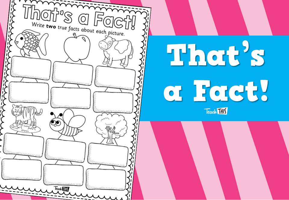That’s a Fact! :: Teacher Resources and Classroom Games :: Teach This