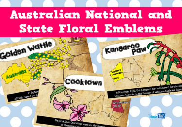 2022 NAIDOC Week Bunting :: Teacher Resources and Classroom Games ...