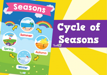 Our Senses :: Teacher Resources and Classroom Games :: Teach This